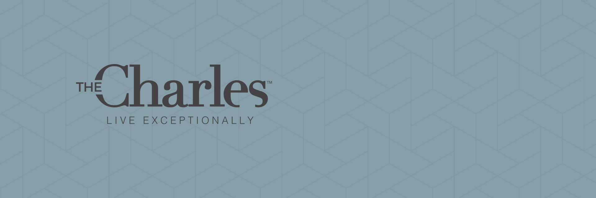 Brand Identity Design - The Charles - ArtVersion Creative Agency