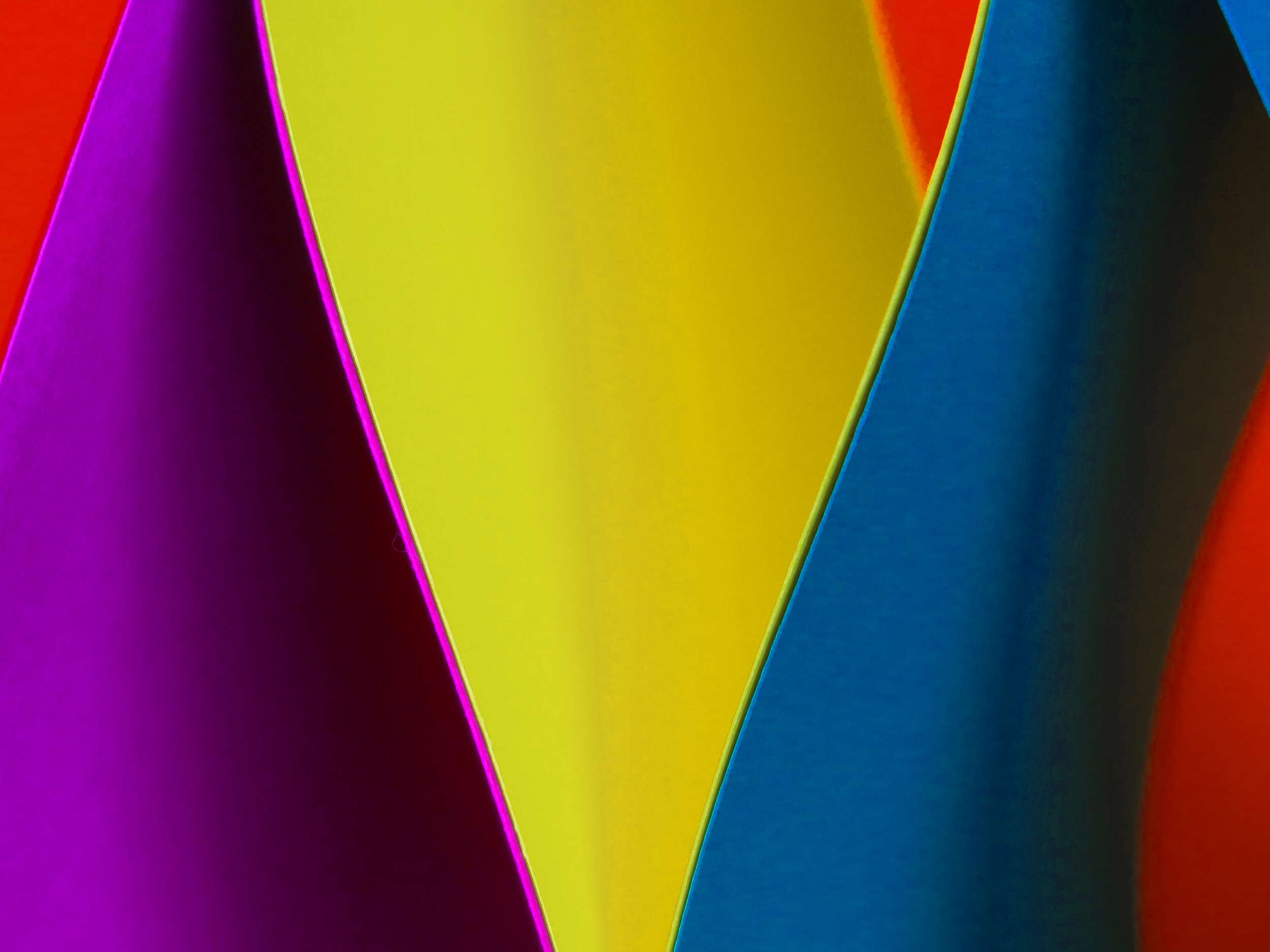 Interface and Experience Design for Educational Organization