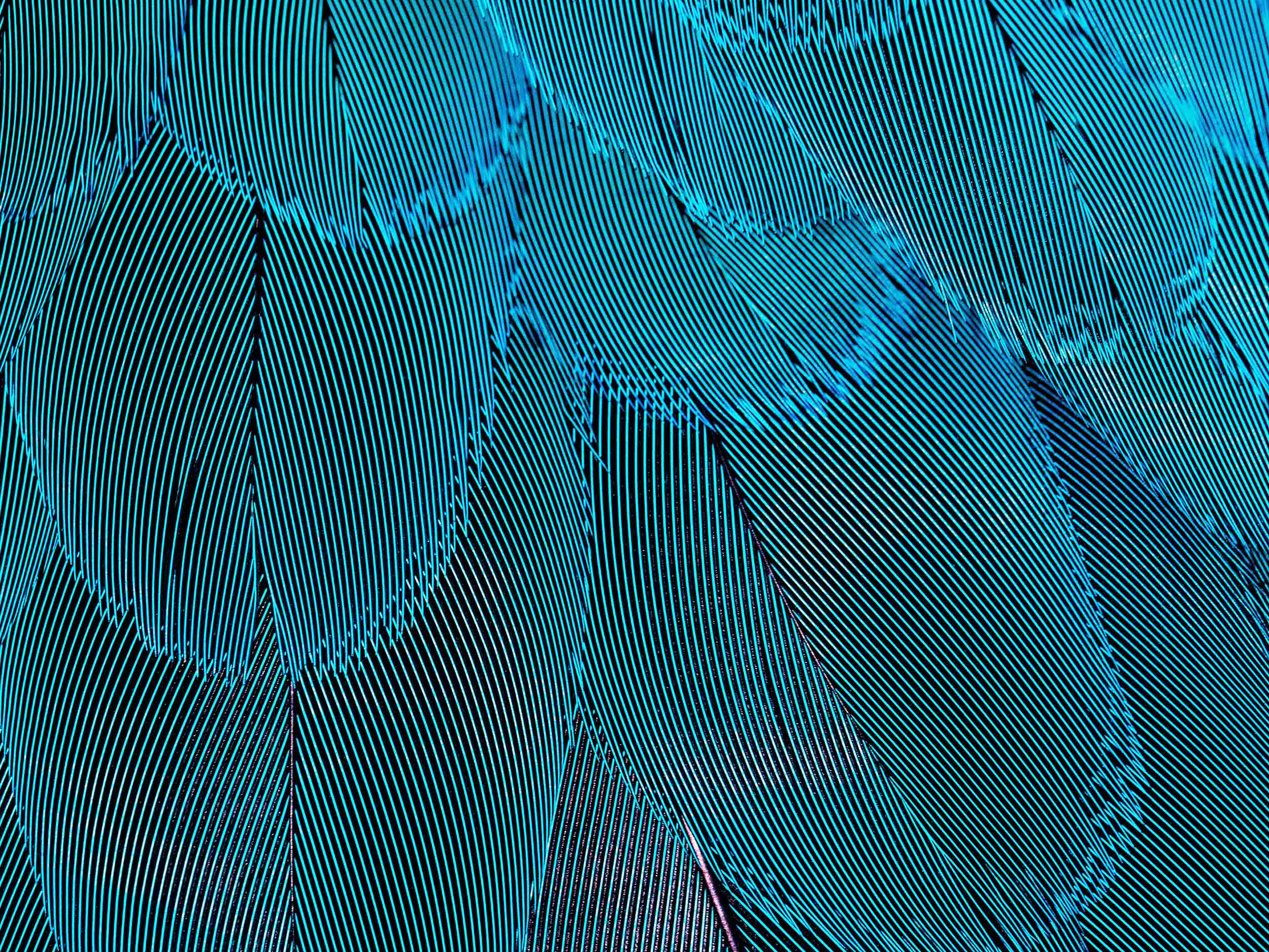 Daisy Bennett Design - Portfolio by ArtVersion Creative Agency